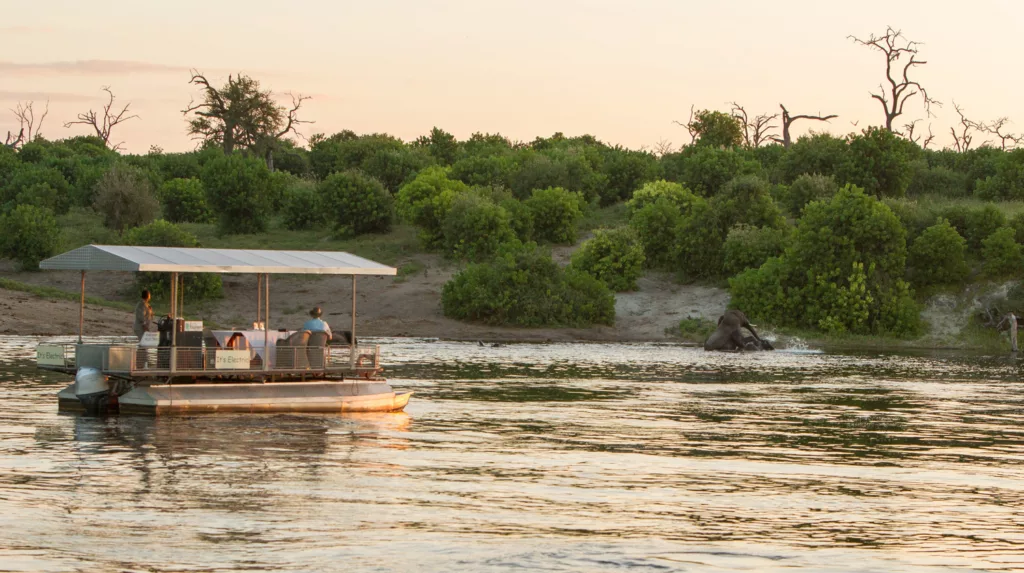 The Gallery - Chobe Game Lodge