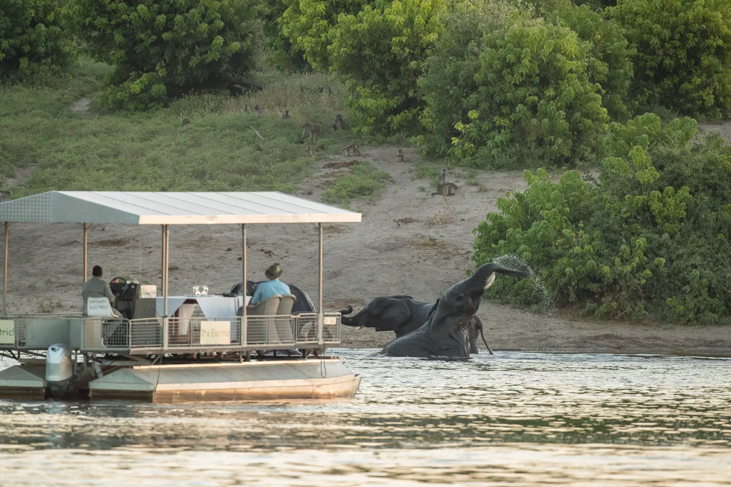 5 Reasons to Visit Chobe National Park in 2023 - Chobe Game Lodge