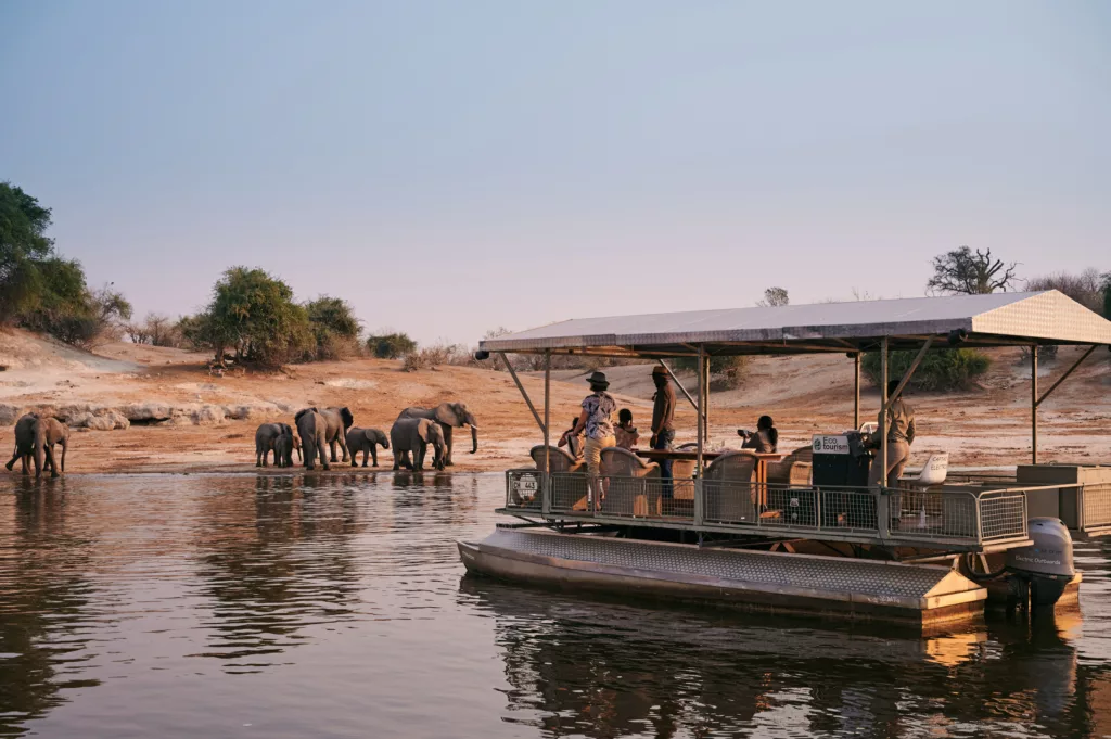 The Gallery - Chobe Game Lodge